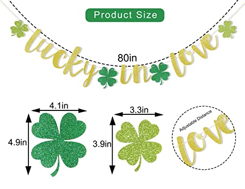 Lucky in Love Banner - St Patricks Day Decoration,st Patricks Day Banner,st Patricks Day Wedding Decor, St Patricks Day Bridal Shower,lucky in Love St Patricks Bachelorette Party Banner