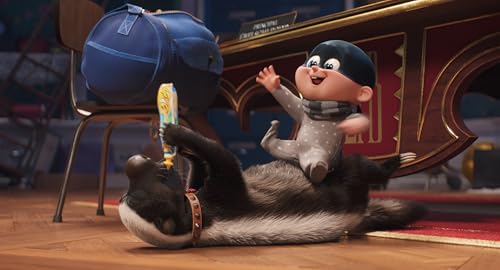 Despicable Me 4 - Collector's Edition [DVD]