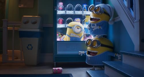 Despicable Me 4 - Collector's Edition [DVD]