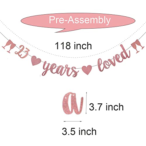 WEIANDBO 23 Years Loved Rose Gold Glitter Banner,Pre-Strung,23rd Birthday / Wedding Anniversary Party Decorations Bunting Sign Backdrops,23 Years Loved