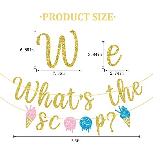 What's The Scoop Banner, Ice Cream Gender Reveal Banner, Baby Shower Decorations