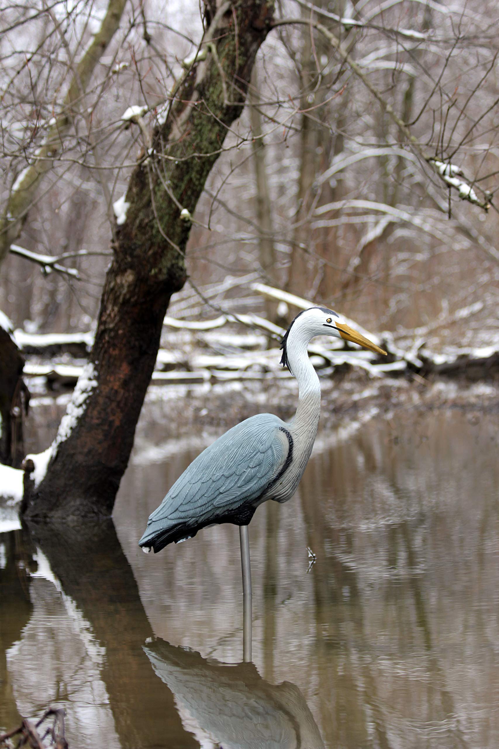 Flambeau Outdoors 5960CD Great Blue Heron Decoy, Includes Metal Stake - 1-Pack