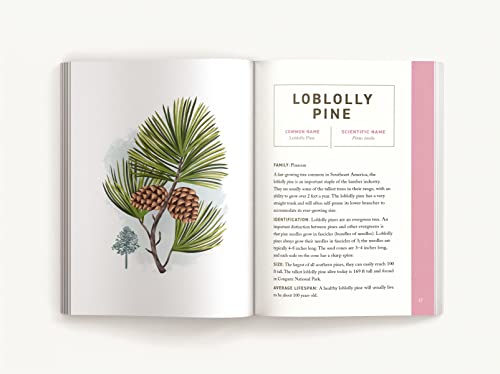 Trees: An Illustrated Field Guide (Illustrated Field Guides)