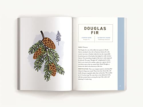 Trees: An Illustrated Field Guide (Illustrated Field Guides)