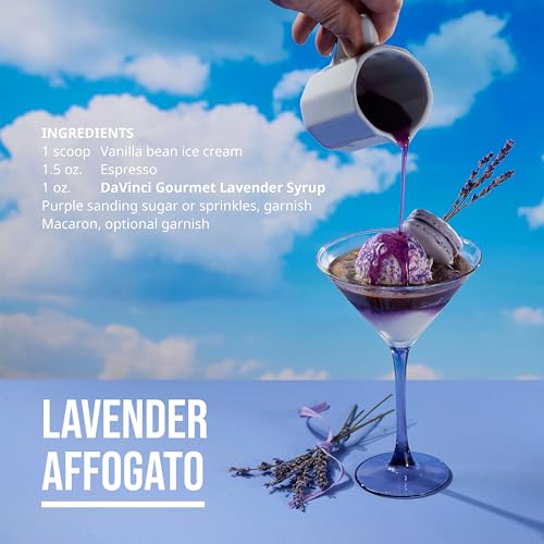 DaVinci Gourmet Lavender Syrup, 25.4 Fluid Ounces (Pack of 1)