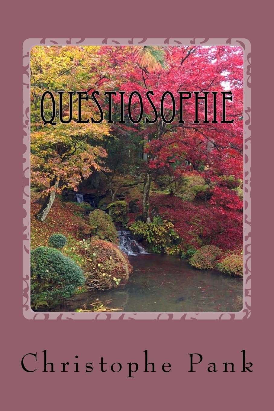 Questiosophie: Apprendre a poser des questions pour mieux decouvrir (Cadre, Posture et Questiosophie) (French Edition)