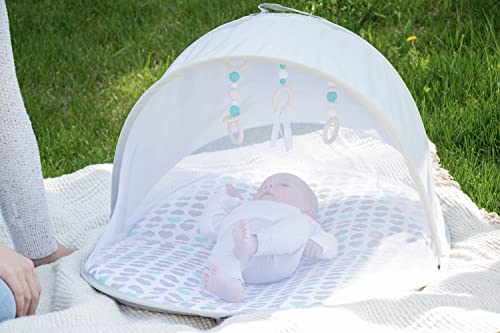Regalo Baby Basics™ Foldable Infant Play Mat, Includes Hanging Toys, Designer Pad, Bug Net, and UPF 50 Sunshade