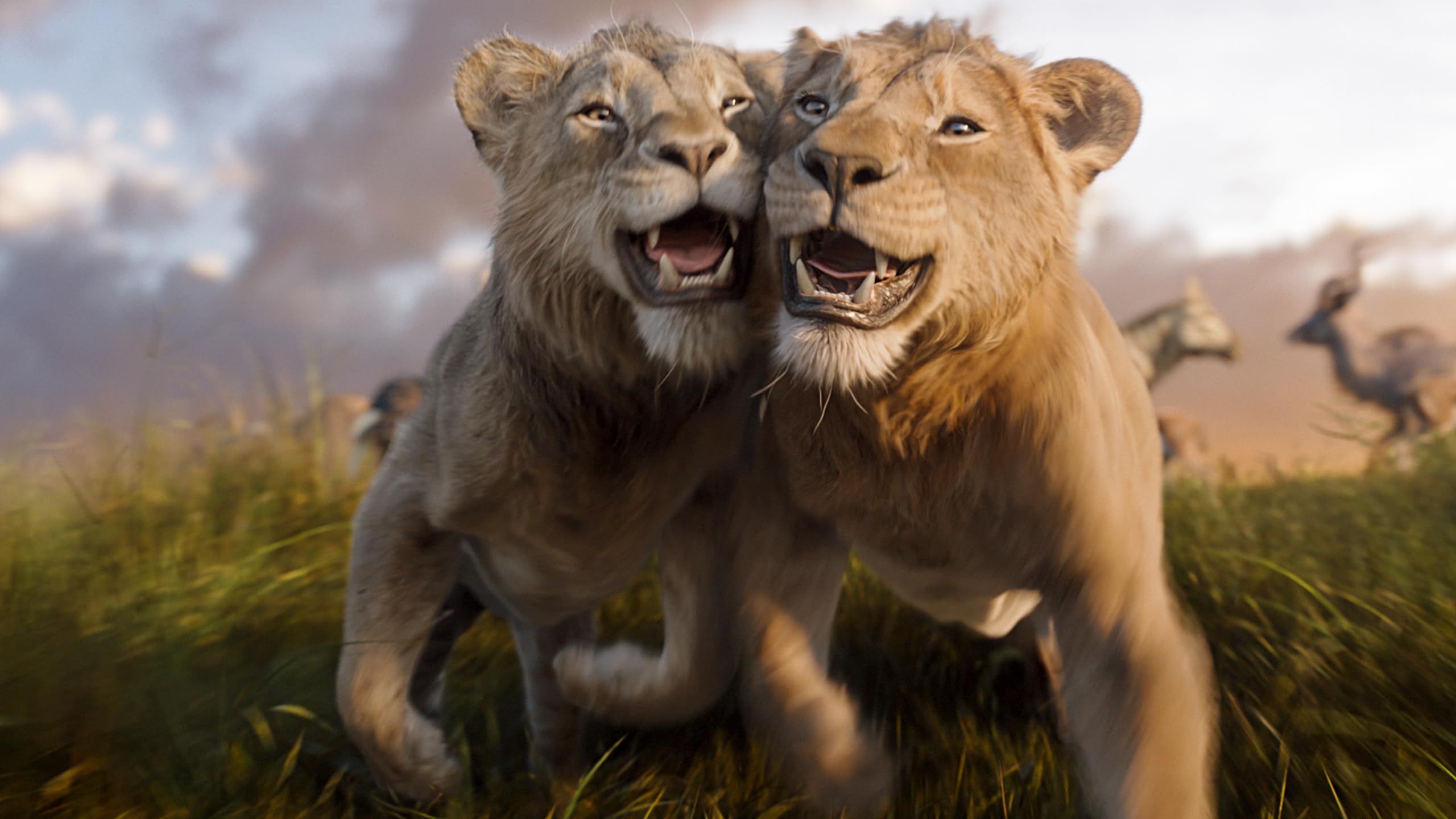 Mufasa: The Lion King - DVD