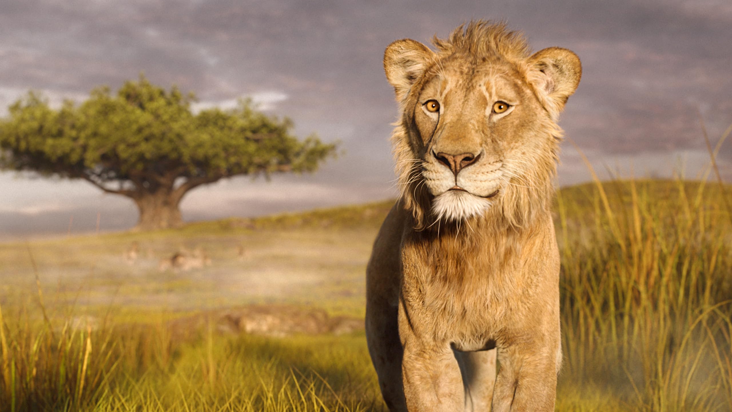 Mufasa: The Lion King - DVD