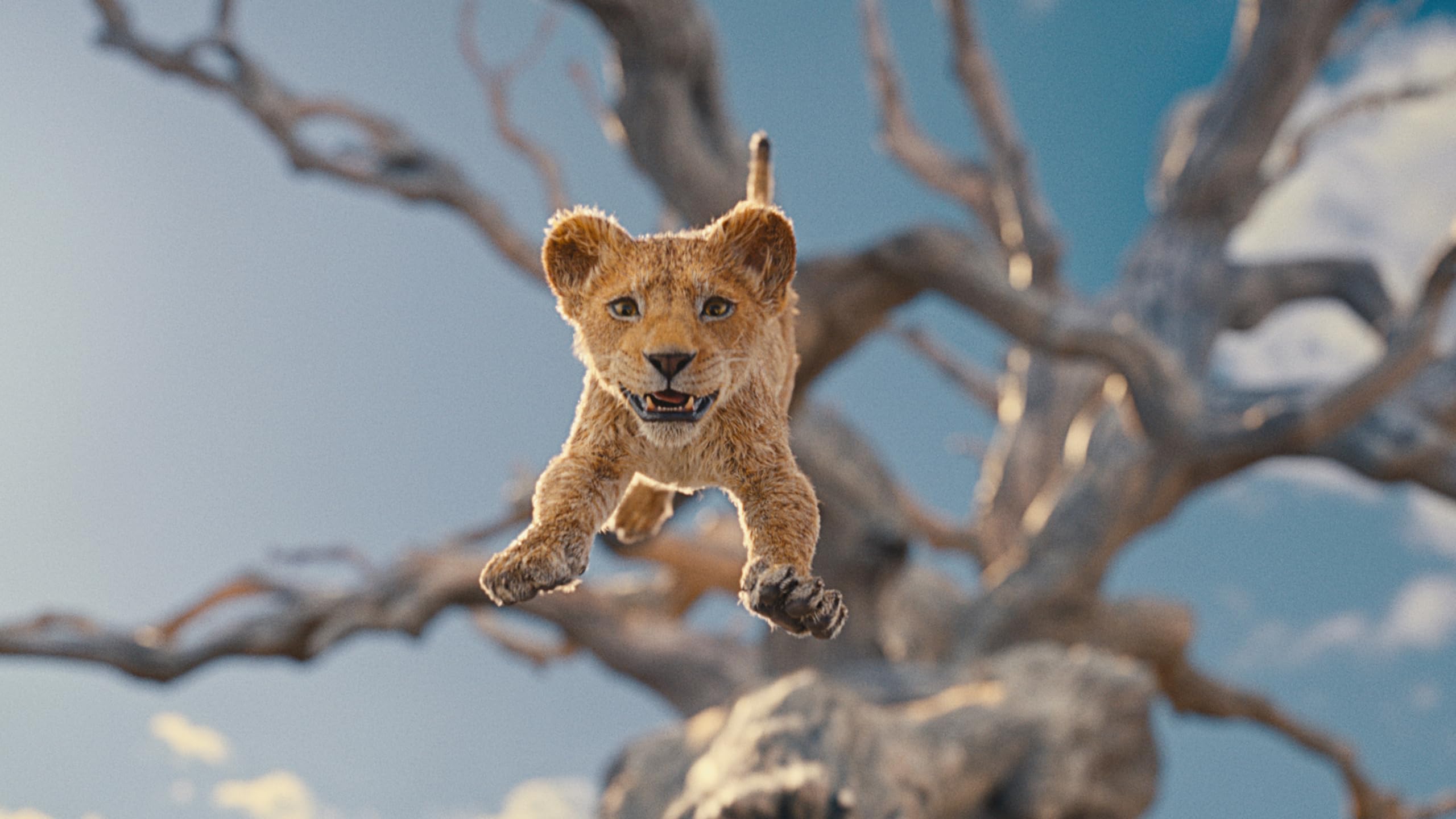 Mufasa: The Lion King - DVD