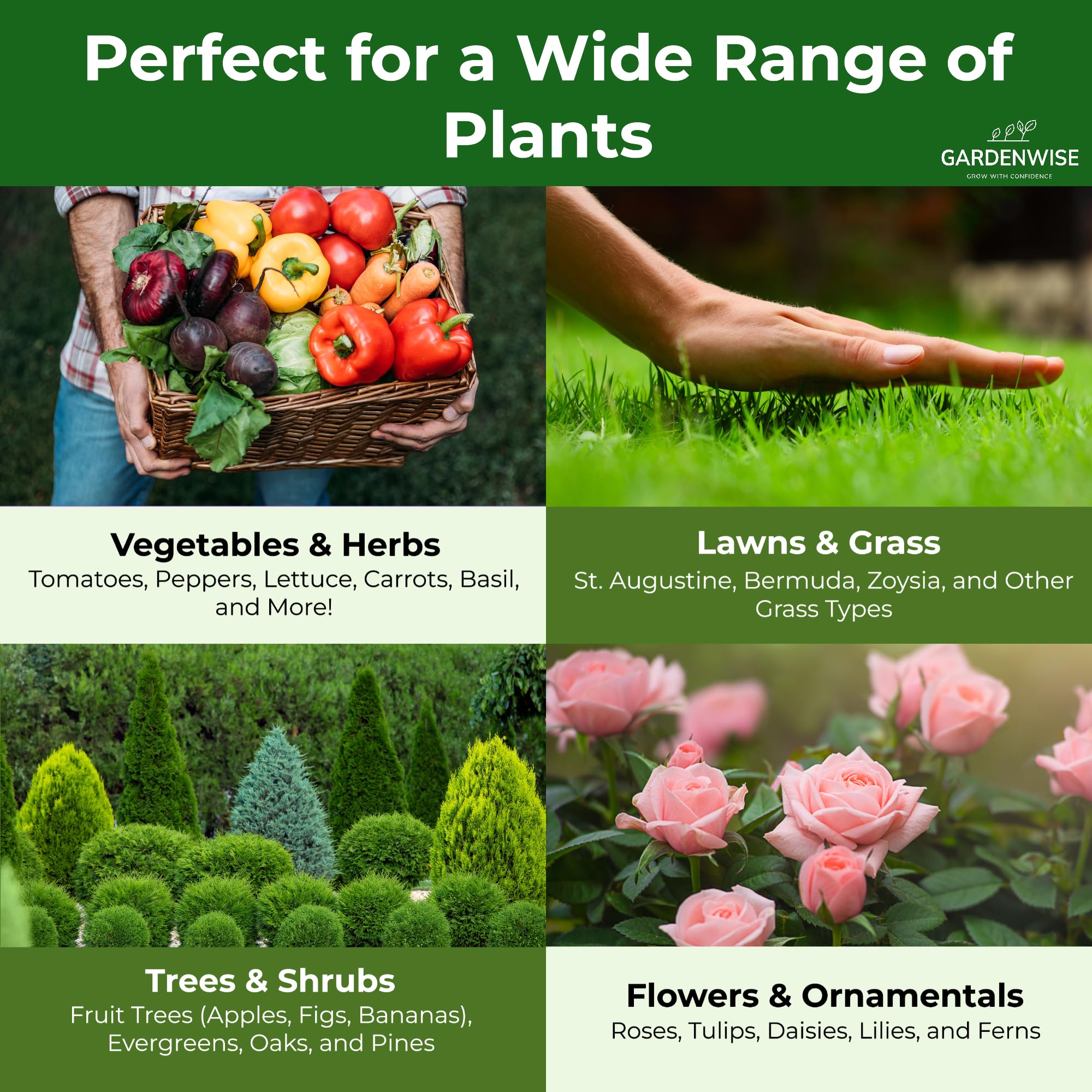 10-10-10 Plant Fertilizer Slow Release – 10 10 10 All Purpose Granular Garden Fertilizer for Fruit Trees, Evergreens, Vegetables, Arborvitae, Fig Trees, Shrubs, Pines, Oaks, Flowers (1/2 Quart)
