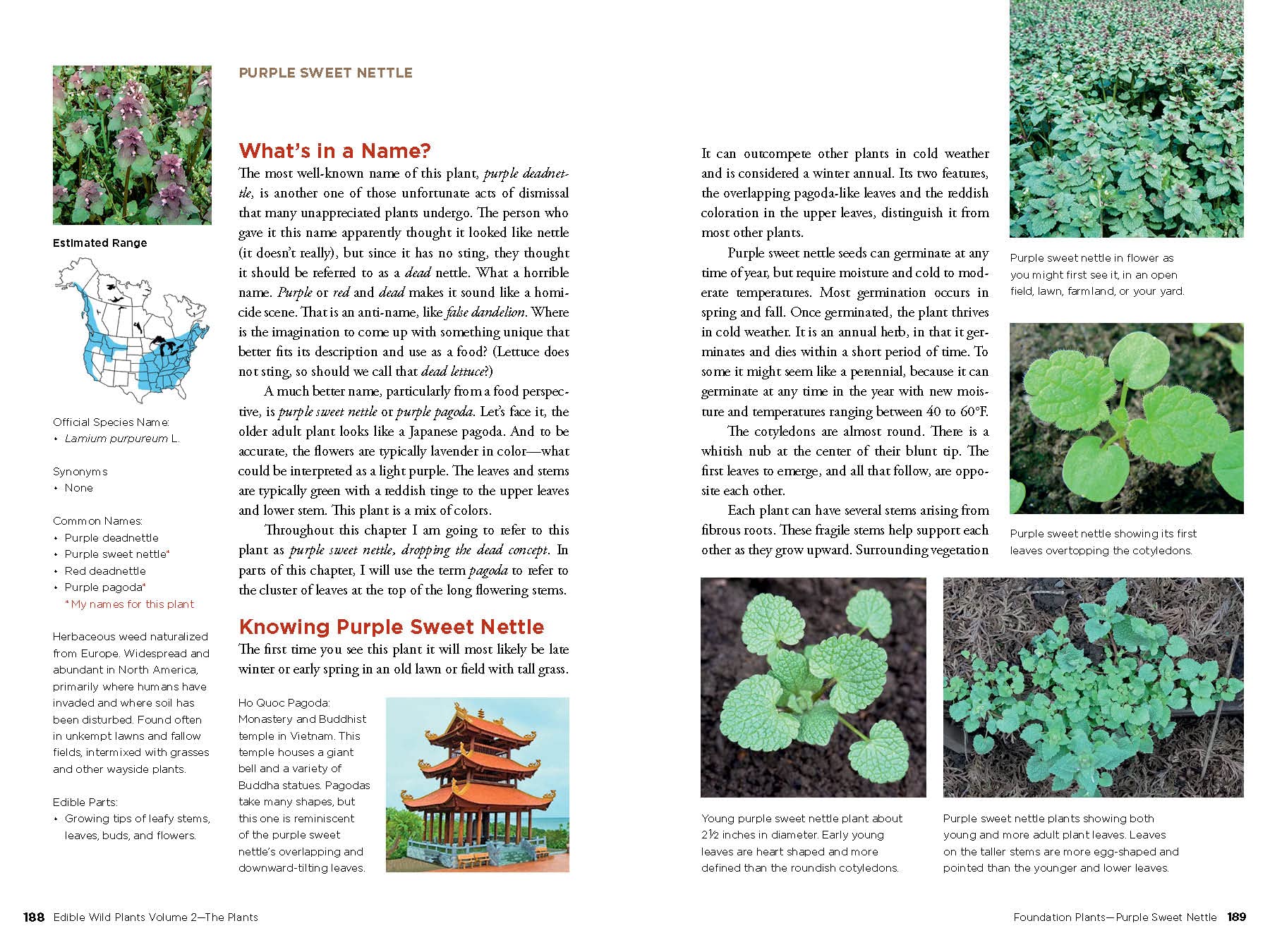 Edible Wild Plants, Volume 2: Wild Foods from Foraging to Feasting (Wild Food Adventure)