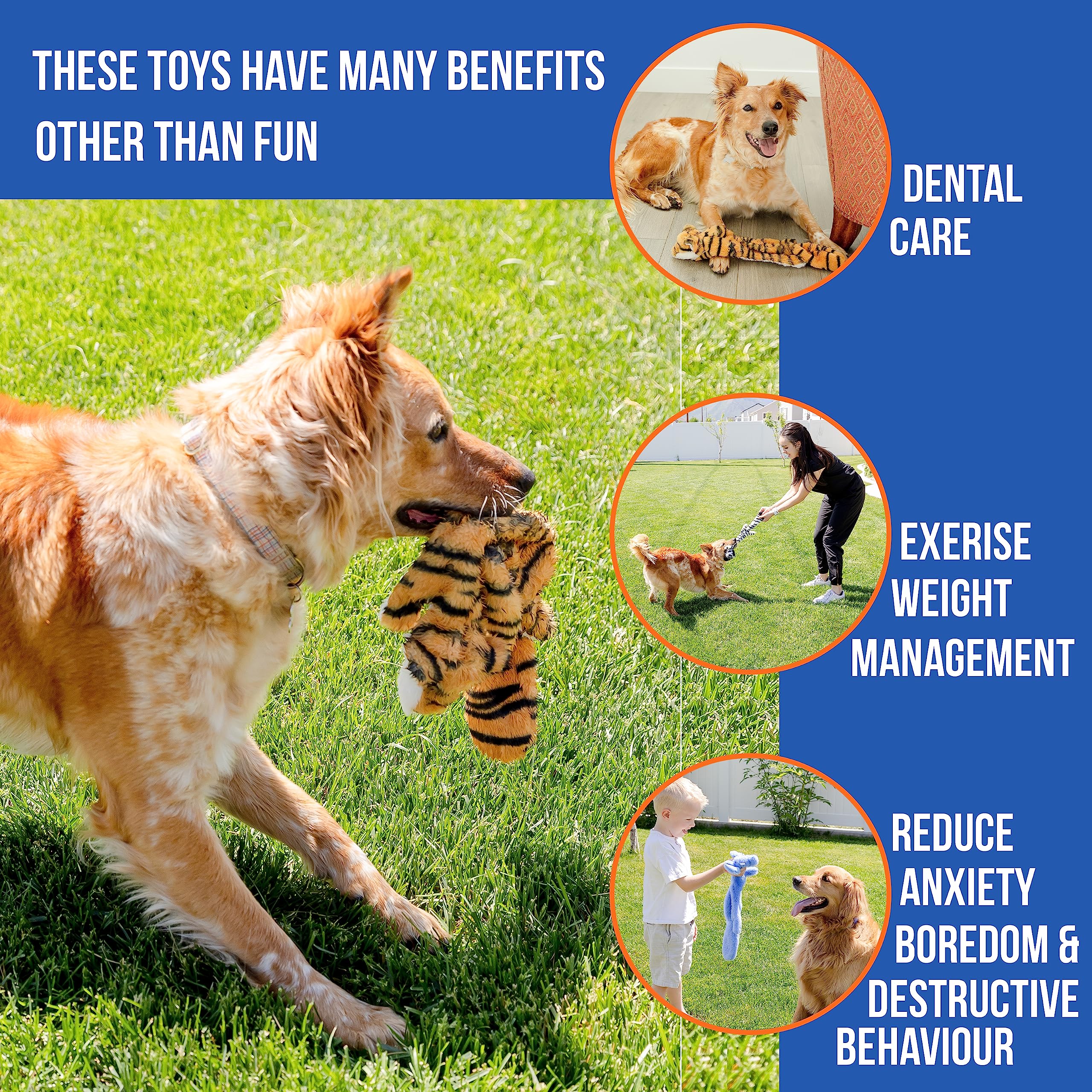 Squeaky No Stuffing Dog Toy Set – New & Improved Edition Plush Crinkle Dog Toys for Small, Medium & Large Breeds – Soft Tough Stuffless Puppy Chew Squeak Animal Supports Pet Health & Well Being 5 Pack