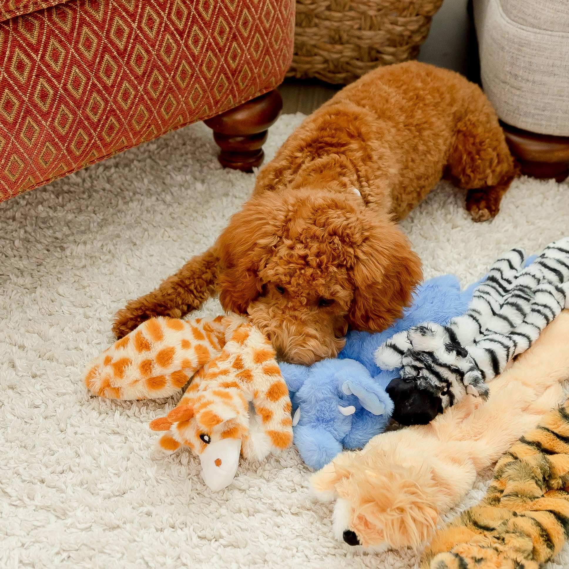 Squeaky No Stuffing Dog Toy Set – New & Improved Edition Plush Crinkle Dog Toys for Small, Medium & Large Breeds – Soft Tough Stuffless Puppy Chew Squeak Animal Supports Pet Health & Well Being 5 Pack
