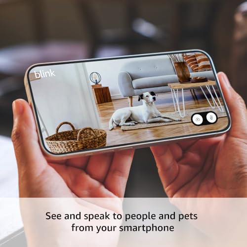 Blink Mini 2 (Newest Model) β Home Security & Pet Camera(s) with HD video, color night view, motion detection, two-way audio, and built-in spotlight β 1 camera (White)