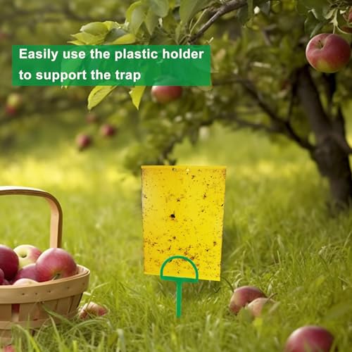 50 Sheets Sticky Fly Traps, Dual-Sided, for Flying Insect, Indoor and Outdoor, 8x6 Inch, Yellow