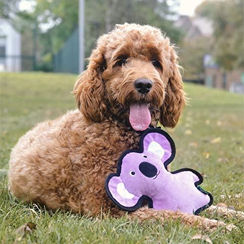 Beco Soft Koala Bear Dog Toy, Cuddle, Chew, Fetch & Squeak Toy Dogs & Puppies, Double Stitched for Durability, Made with Recycled Materials