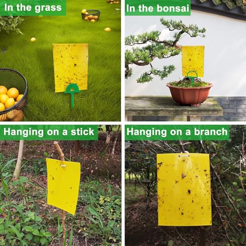 50 Sheets Sticky Fly Traps, Dual-Sided, for Flying Insect, Indoor and Outdoor, 8x6 Inch, Yellow