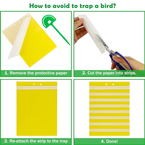 50 Sheets Sticky Fly Traps, Dual-Sided, for Flying Insect, Indoor and Outdoor, 8x6 Inch, Yellow