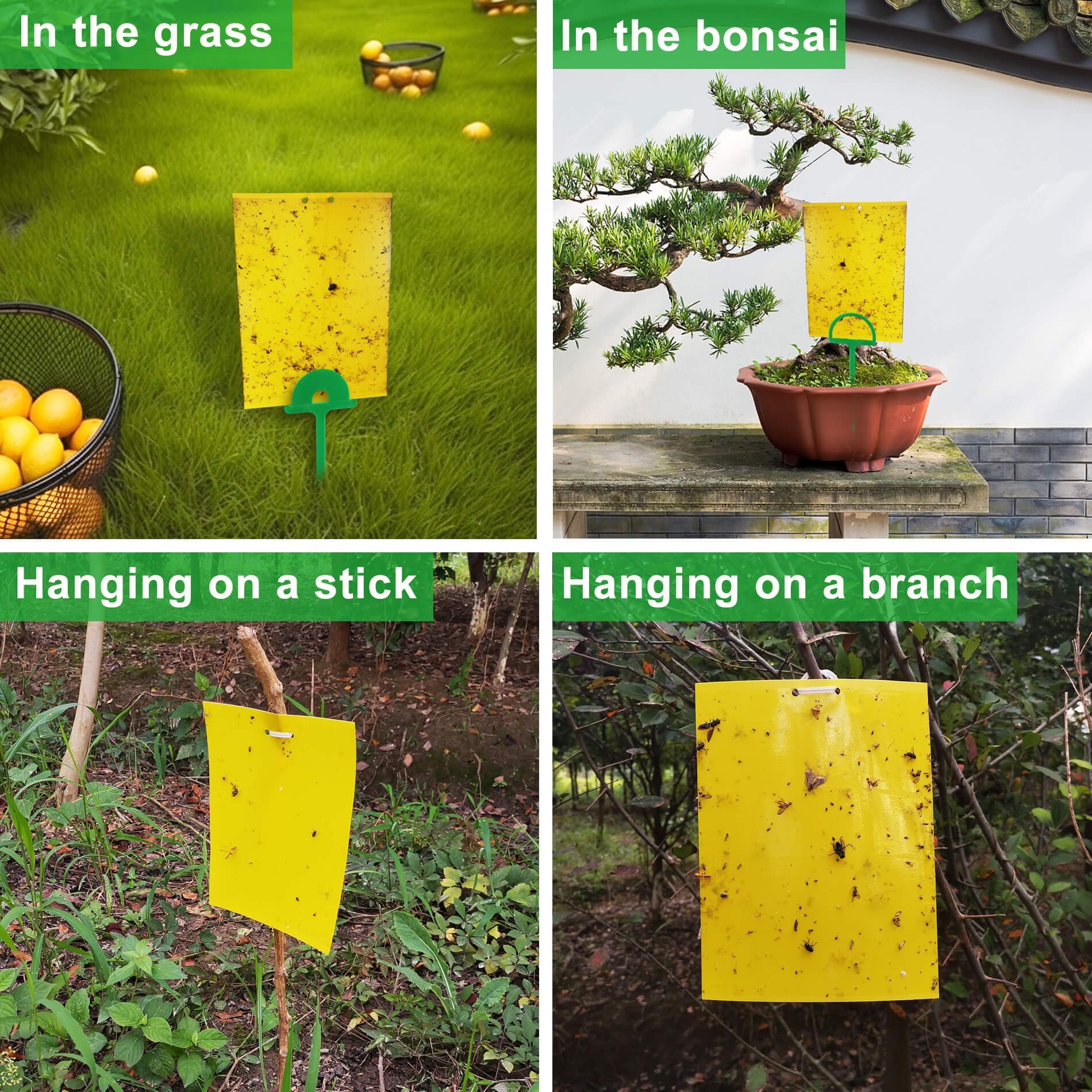 40 Sheets Sticky Fly Traps, Dual-Sided, for Flying Insect, Indoor and Outdoor, 8x6 Inch, Yellow