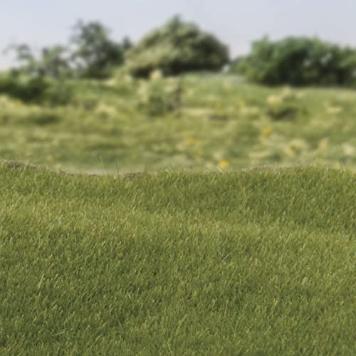 Woodland Scenics Static Grass 2mm -Dark Green -FS613