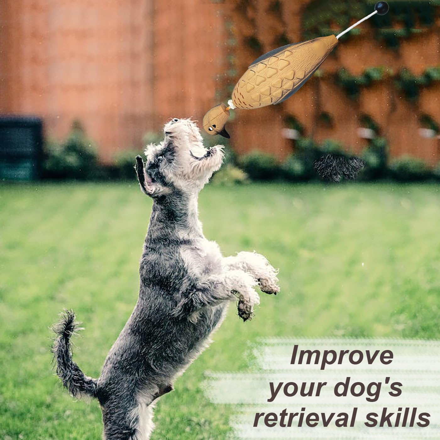 LECPECON Dove Dog Training Dummy Bumper for Hunting Dog Dummy Retriever Skills
