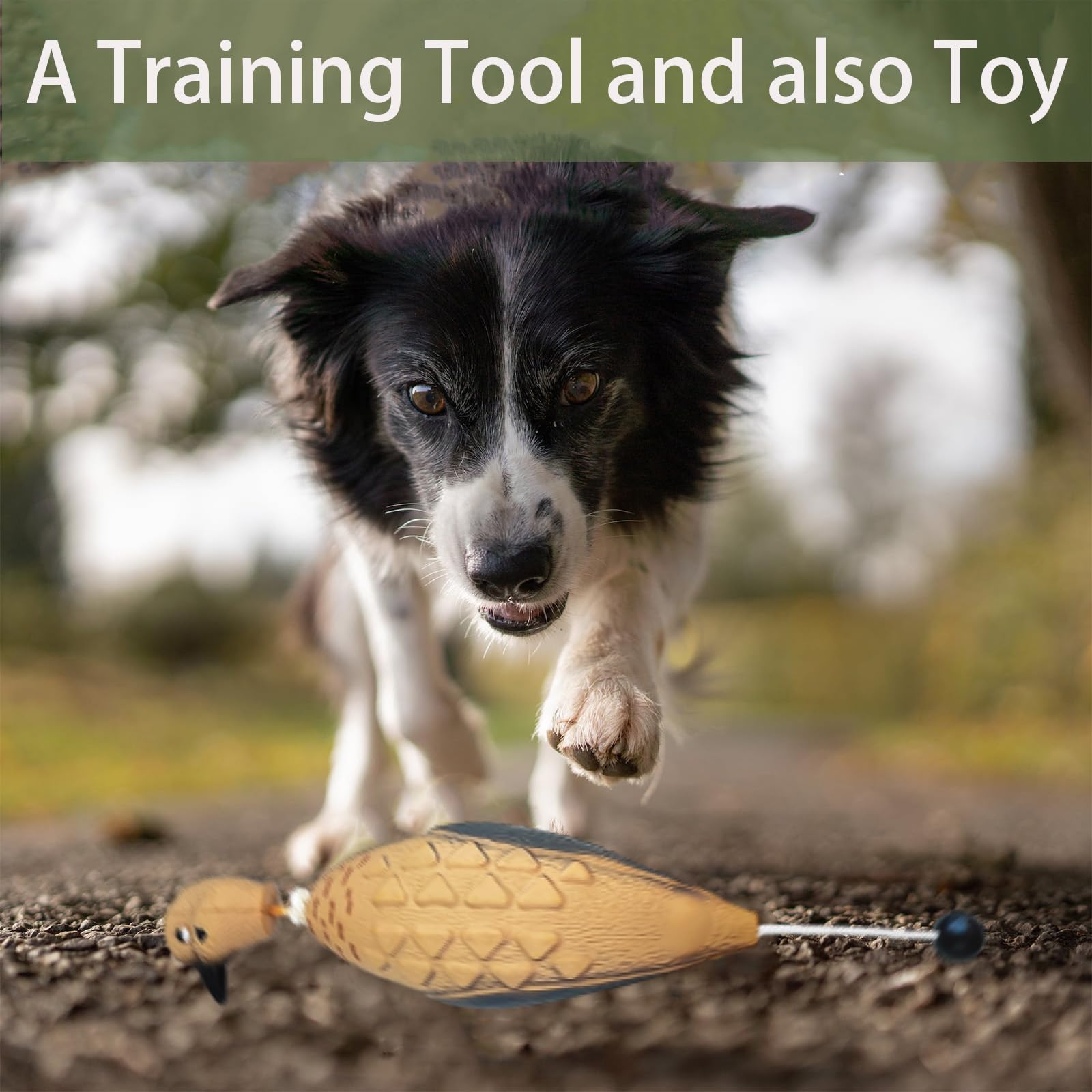 LECPECON Dove Dog Training Dummy Bumper for Hunting Dog Dummy Retriever Skills