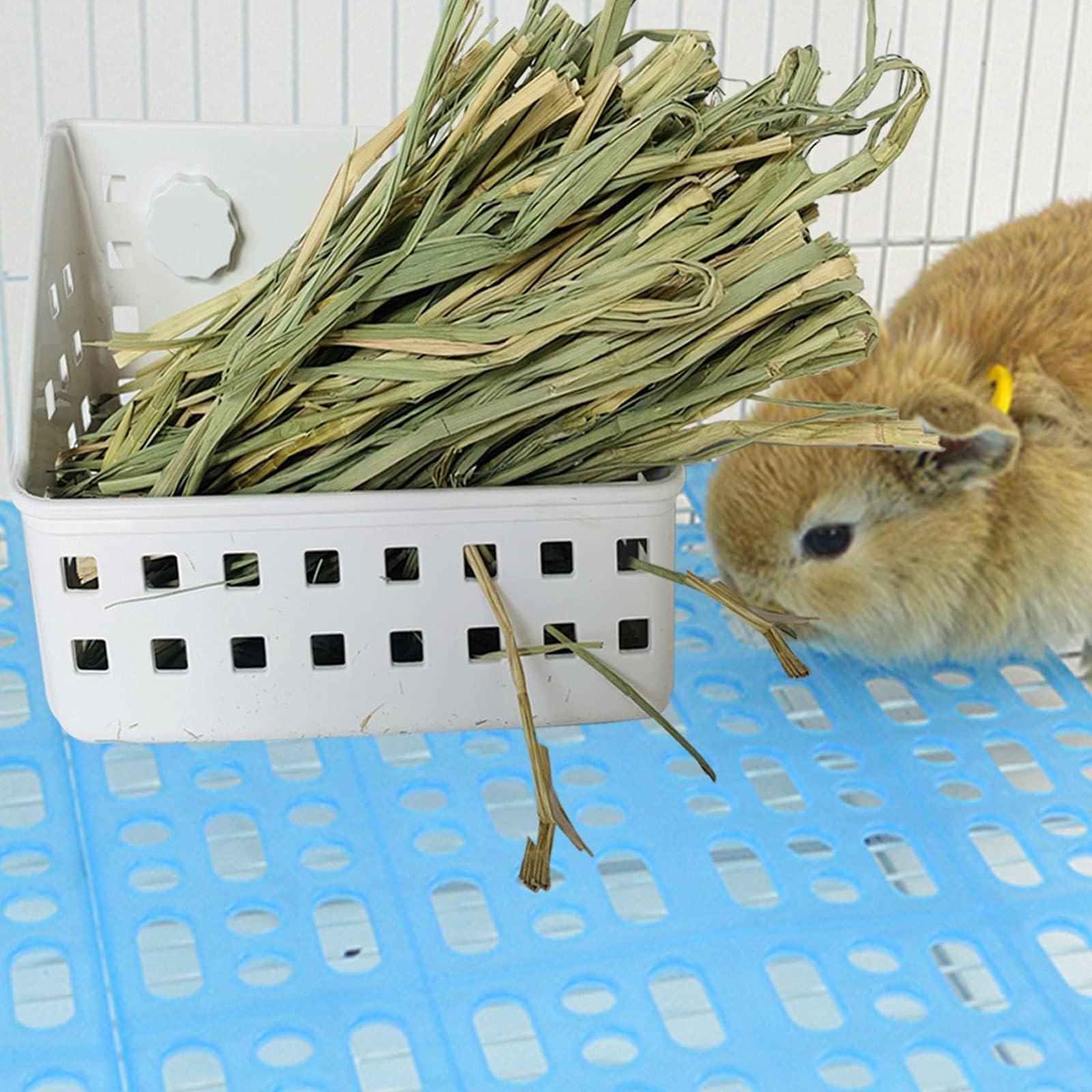 kathson Hay Feeder for Rabbit, Bunny Hay Holder Guinea Pig Hay Feeder Plastic Hay Rack for Rabbits Small Animal Chinchilla Ferret (7.5 X 4.7 X 5.5 inch)