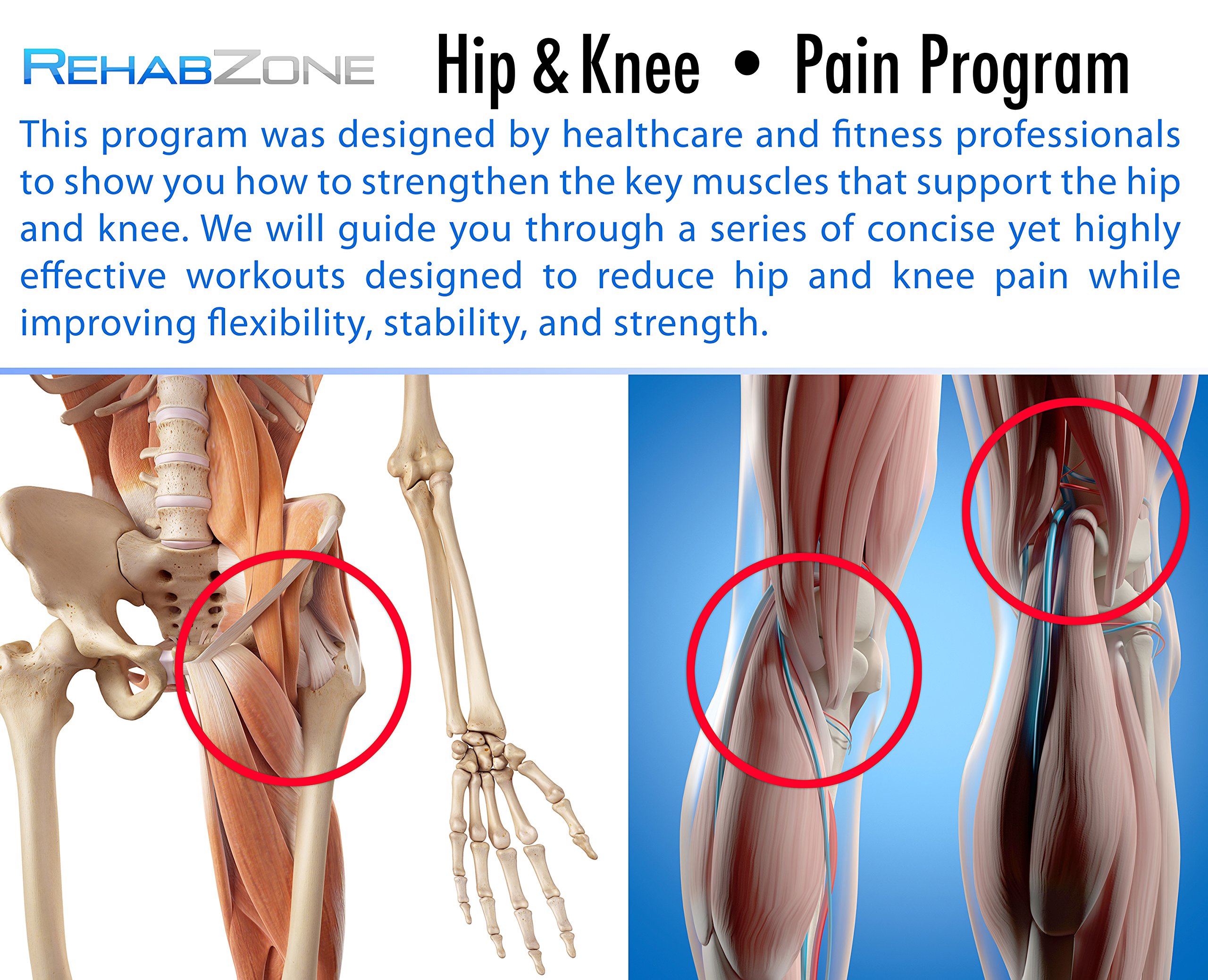 RehabZone Hip and Knee Pain Program: Physician Endorsed Home Rehabilitation DVD Program Created for Those Seeking to Reduce Hip or Knee Pain