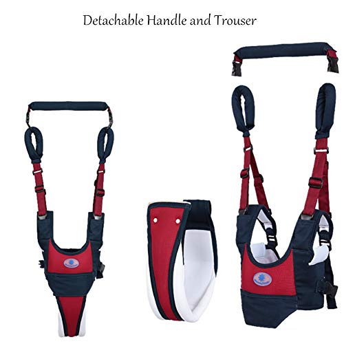 Baby Walker Toddler Walking Harness, Full Adjustable Breathable Baby Walking Helper, Functional Safety Stand Up and Walking Belt for Newborn(7-24months) (Red & Blue)
