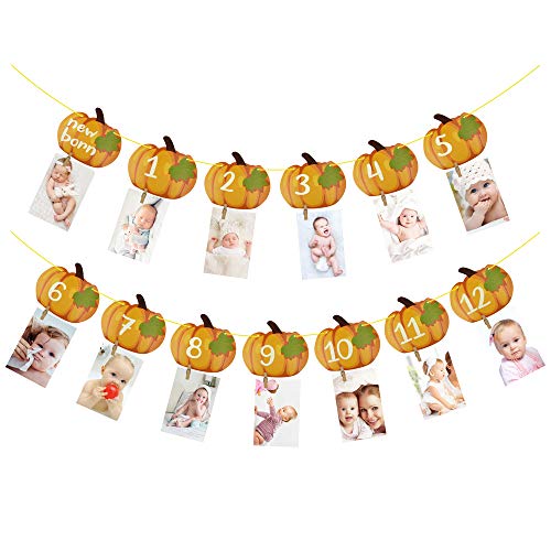 Rainlemon Pumpkin Photo Banner Fall Autumn Little Pumpkin Boy Gril 1st Birthday Party Photo Garland 12 Months Photo Prop