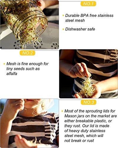 Sprouting Jar Strainer Lid - For Growing Organic Sprouts & Sprouter Screens - 304 Stainless Steel