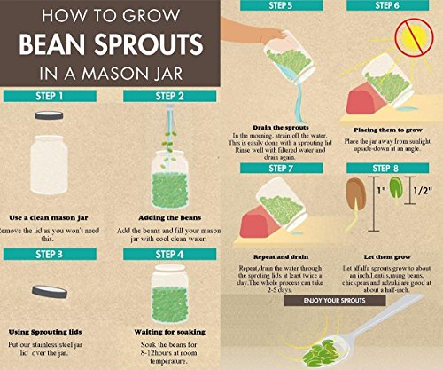 Sprouting Jar Strainer Lid - For Growing Organic Sprouts & Sprouter Screens - 304 Stainless Steel