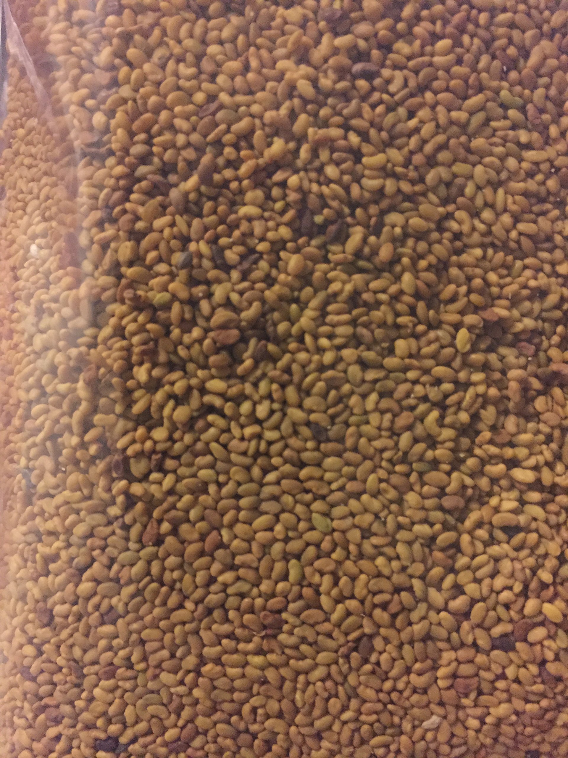 Alfalfa Seeds 2 Lbs High Germination (Garden Naturals Brand)