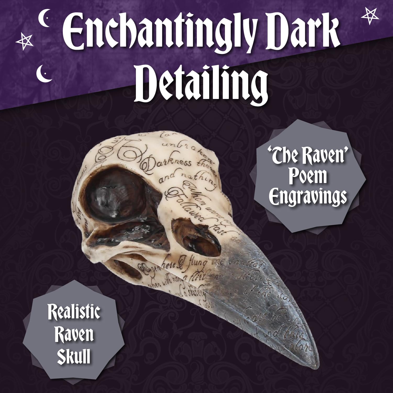 Nemesis Now Edgar's Raven Skull Figurine, Gothic Decor, Bird Skeleton, Hand-Painted Resin, Edgar Allan Poe Themed Ornament with Engraved Poem, 21cm