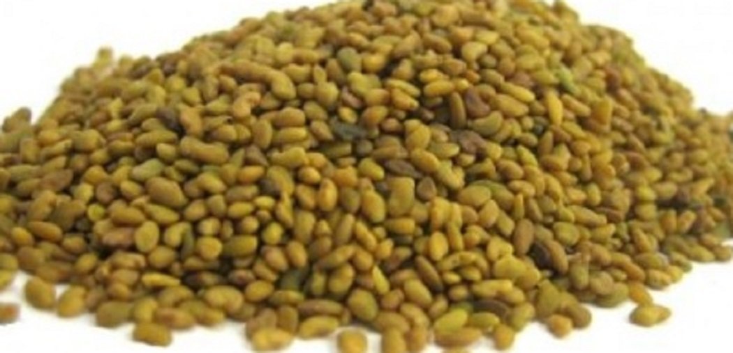Todd's Seeds Alfalfa Sprouting Seeds, 2.5 Pounds Bulk Alfalfa Seeds, Fast Growing Seeds, Chemical Free, High Sprout Germination