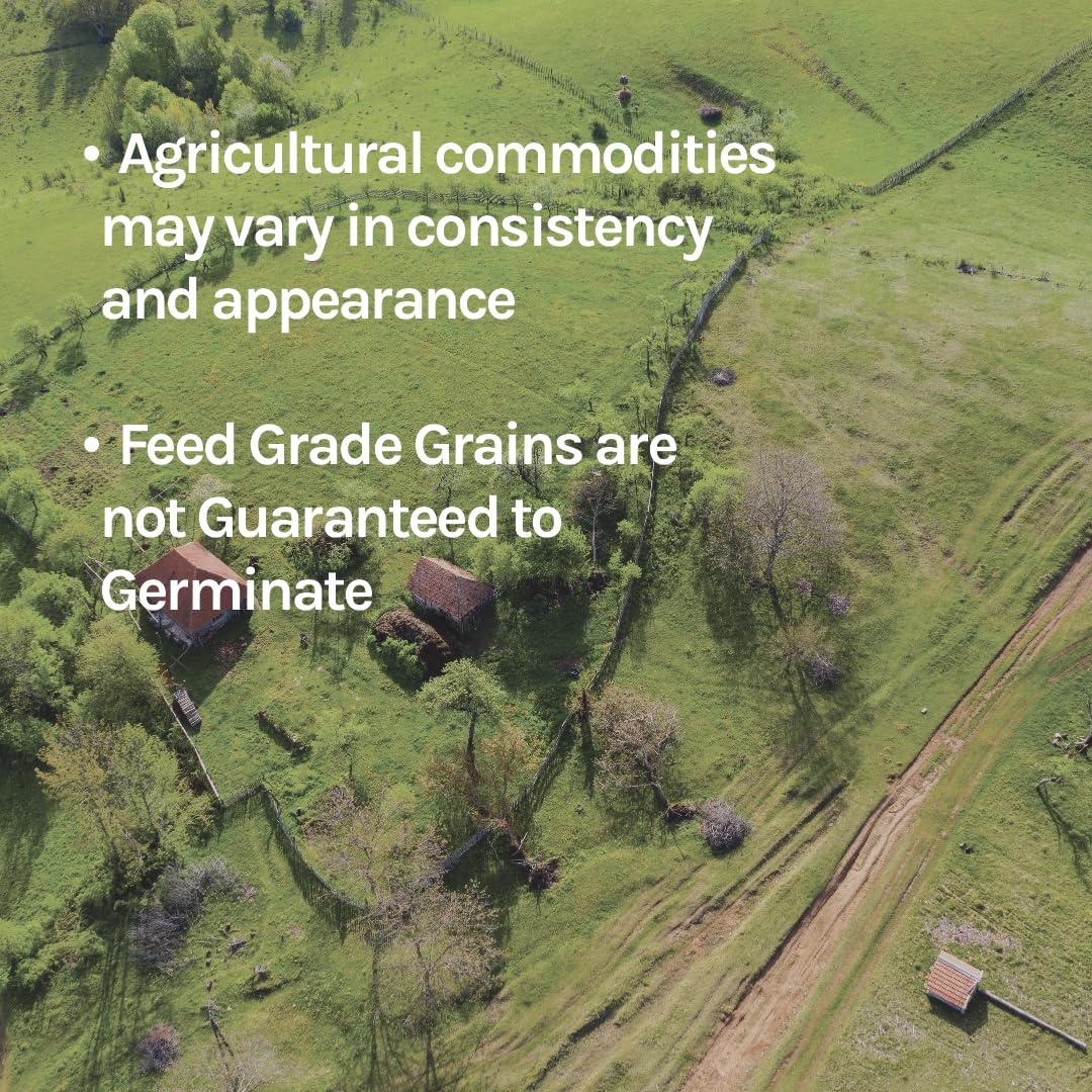 New Country Organics | Alfalfa Pellets for Livestock | Certified Organic and Non-GMO | 50 lbs