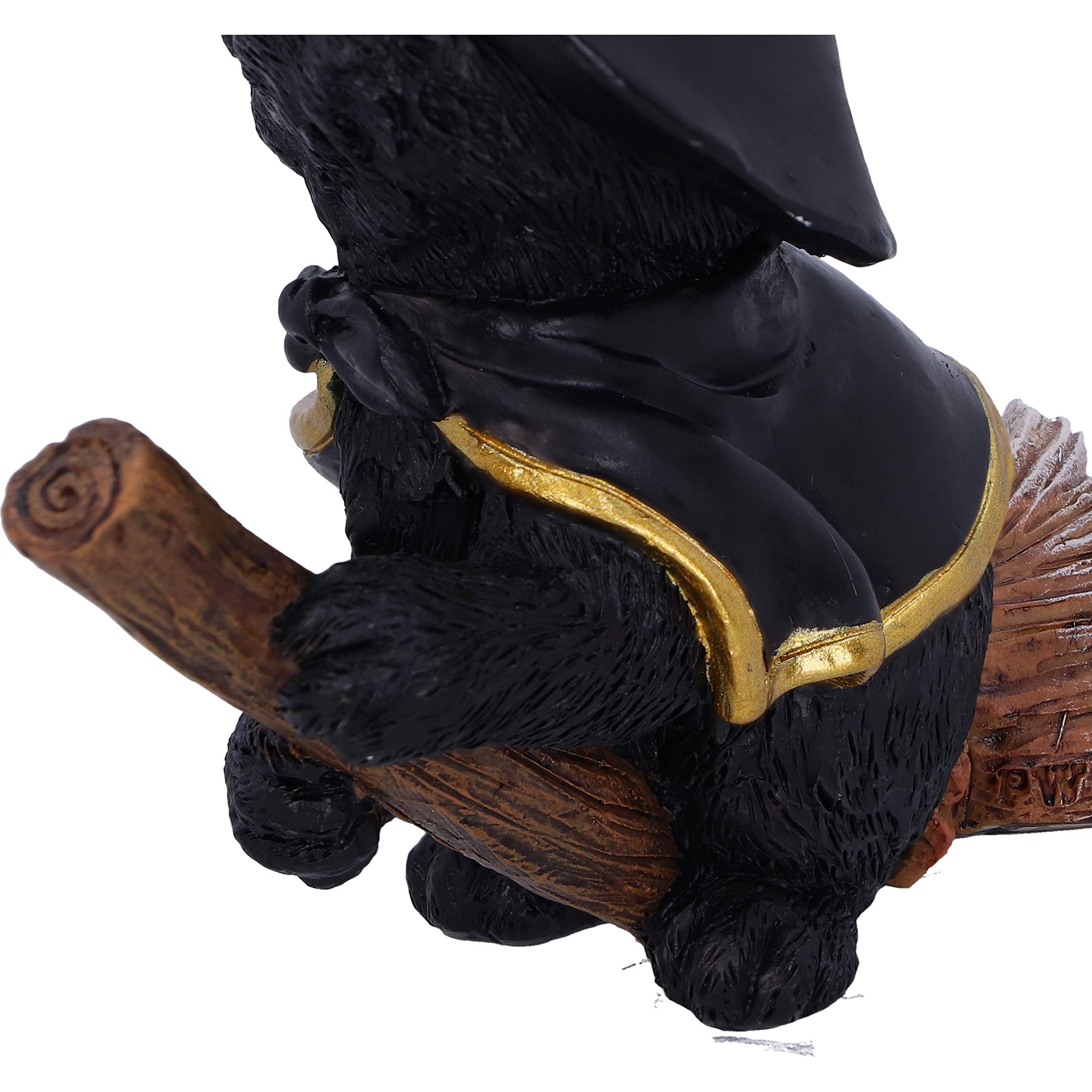 Nemesis Now Tabitha Small Witches Familiar Black Cat and Broomstick Figurine, 11cm