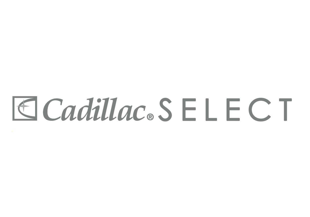 Cadillac Select Premium Leather Cleaner 4 oz - Great for Shoes, Handbags, Jackets, Gloves, Furniture & More