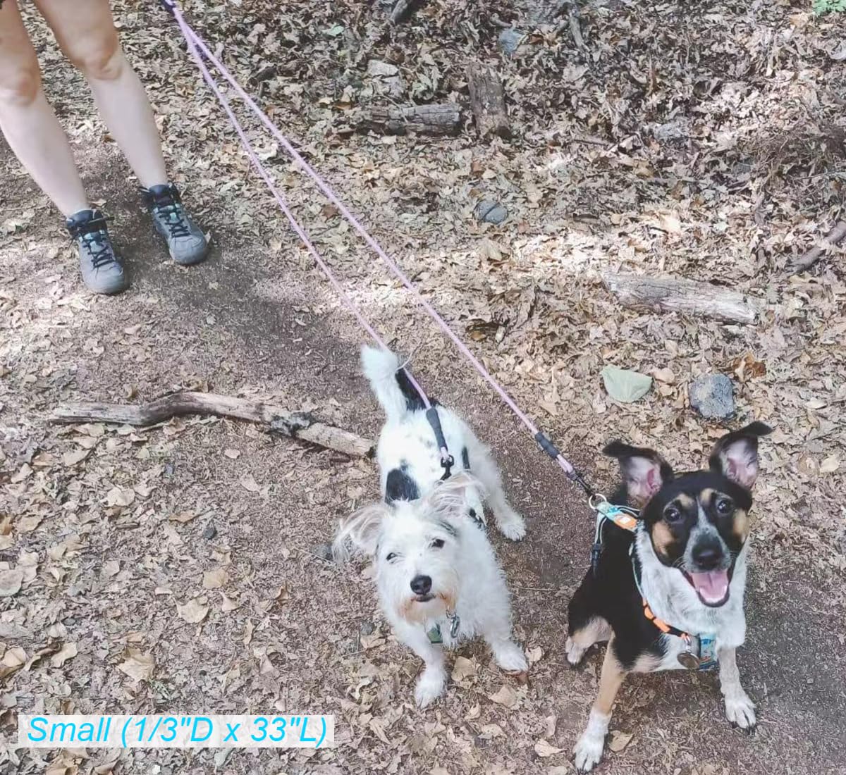 Mycicy Double Dog Leash Coupler, Extension Rope for Two Dogs, No Tangle Dual Dog Lead Splitter for Small Medium Dogs 10-35 lbs (1/3" X 33"- Pinkblue)
