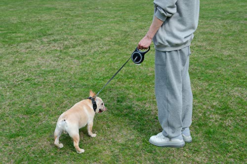 PINA Retractable Dog Leash, 26ft Dog Leash for Small Medium Large Dogs Up to 110lbs, 360° Tangle-Free Reflective Nylon Tape, with Anti-Slip Handle, One-Handed Brake, Pause, Lock - Black & Blue /2PACK