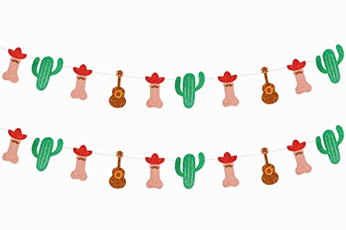 Final Fiesta Rose Gold Banner Garland Cactus Banner for Mexican Fiesta Bachelorette Party Decorations Supplies