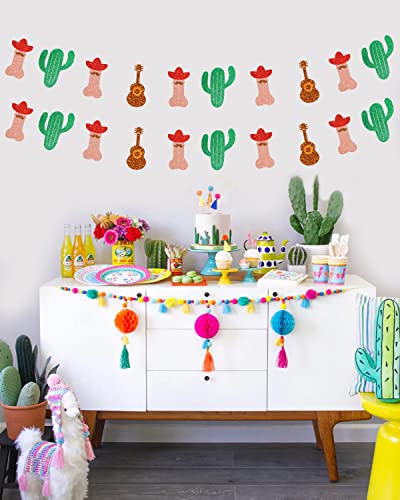Final Fiesta Rose Gold Banner Garland Cactus Banner for Mexican Fiesta Bachelorette Party Decorations Supplies