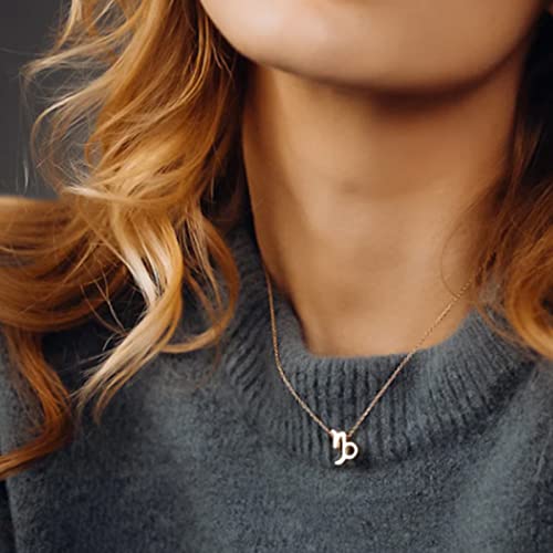 Taurus Zodiac Necklace - Gold Taurus Gift for Birthday or Christmas