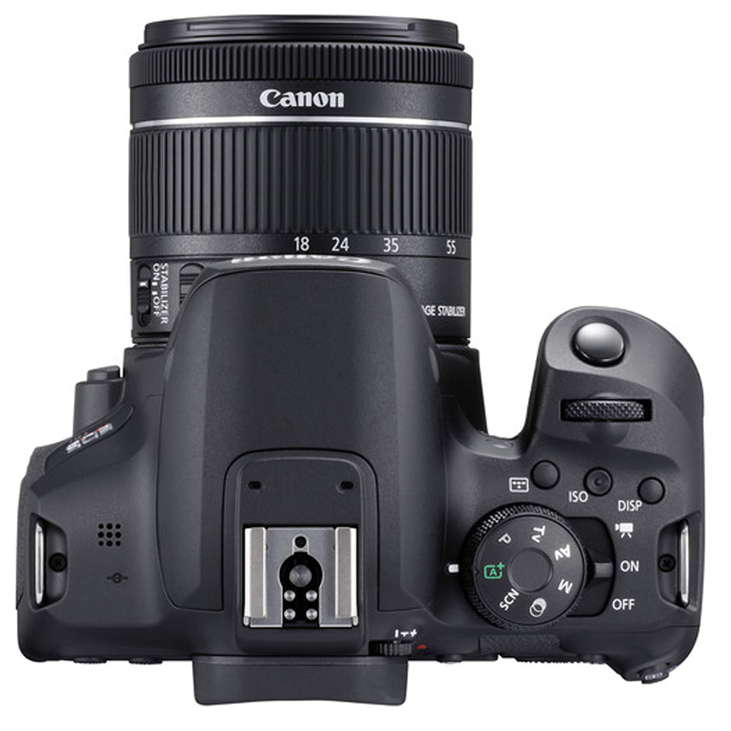 Canon EOS Rebel T8I DSLR Camera w/EF-S 18-55mm F/4-5.6 STM Zoom Lens + 75-300mm F/4-5.6 III Lens + 64GB Memory, Case, Tripod, Flash, Remote, and More (34pc Bundle) (Renewed)