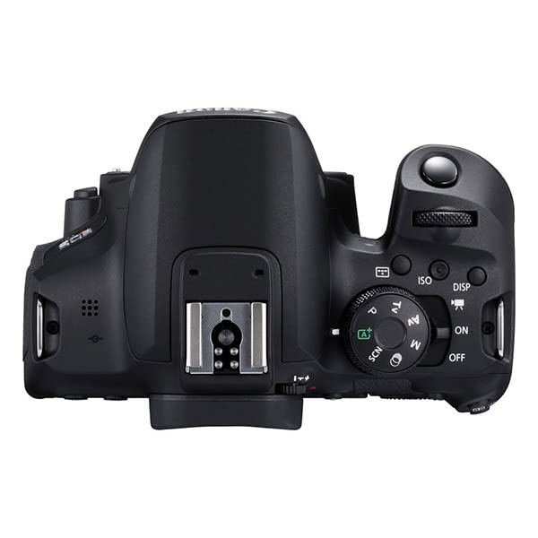 Canon EOS Rebel T8i DSLR Camera with 18-55mm Lens (3924C002) + 64GB Card + Case + Corel Software + LPE17 Battery + External Charger + Card Reader + HDMI Cable + More (Renewed)