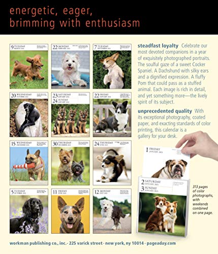 Dog Page-A-Day Gallery Calendar 2021