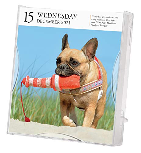 Dog Page-A-Day Gallery Calendar 2021