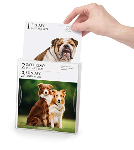 Dog Page-A-Day Gallery Calendar 2021