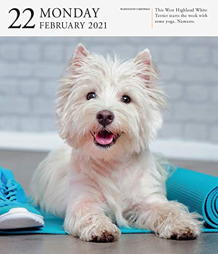 Dog Page-A-Day Gallery Calendar 2021
